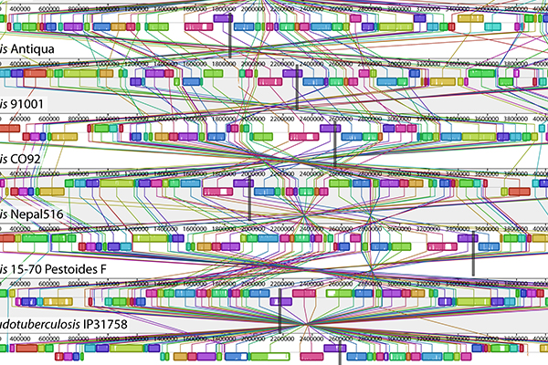 Family-Based Genomic Studies | Mathematical Biosciences Institute